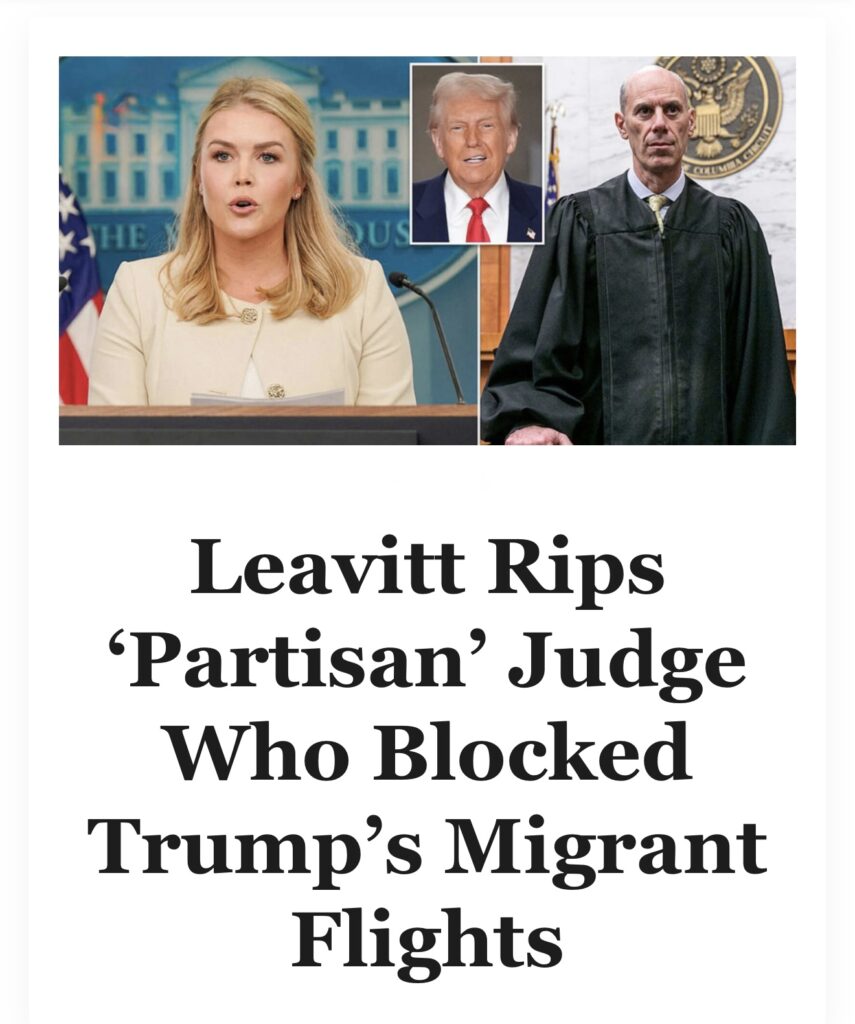 Leavitt Rips ‘Partisan’ Judge Who Blocked Trump’s Migrant Flights – My Blog