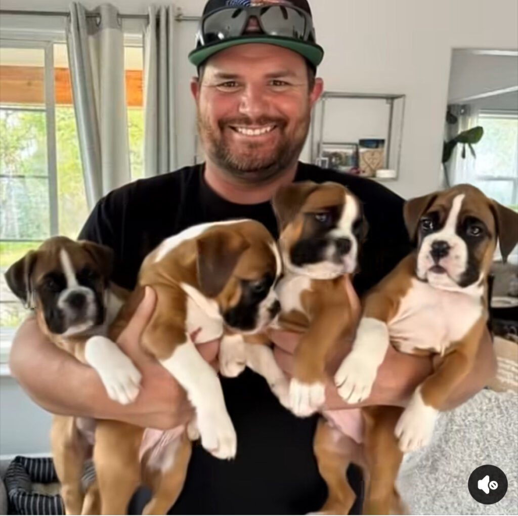 Four Boxer Puppies Found by the Roadside – My Blog