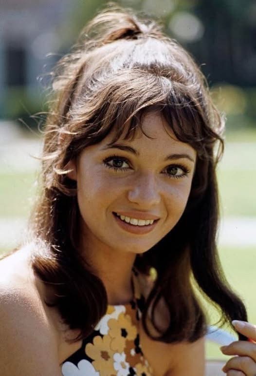 The Career Path of Karen Valentine: Humble Start to Emmy Winner – My Blog