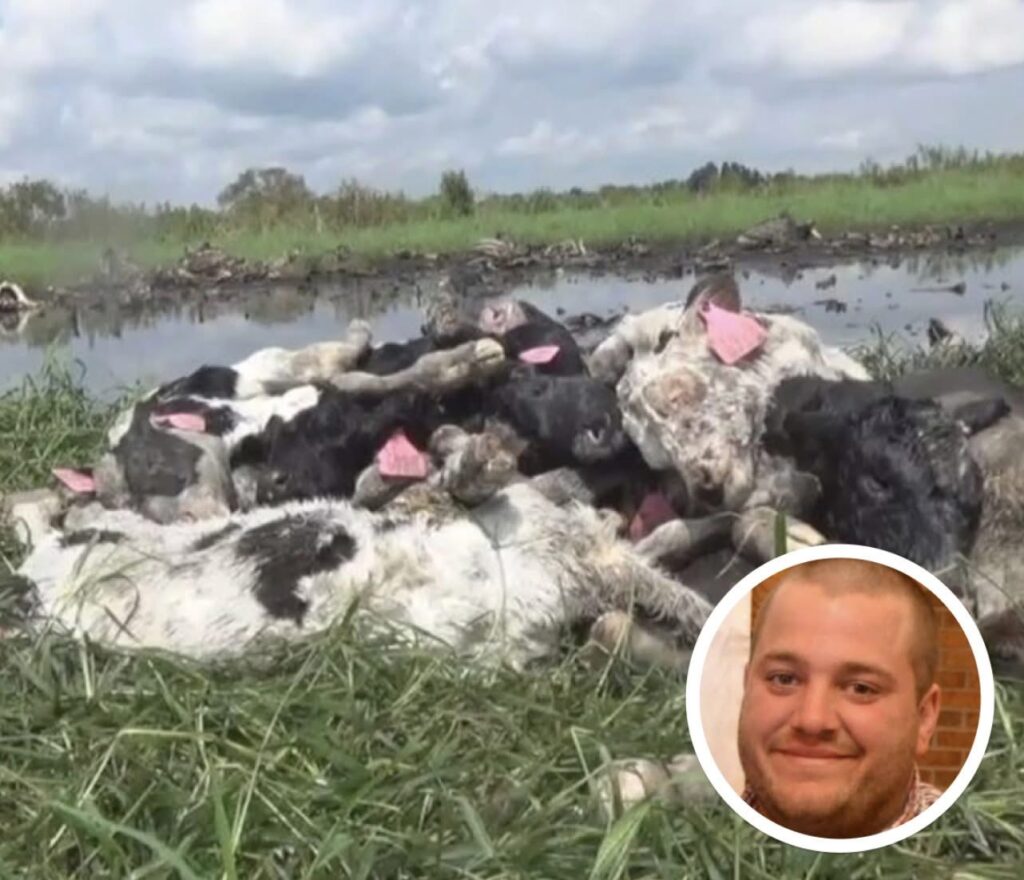 Farmer And 16 Cows Found Dead, Cause Of Death Finally Discovered – My Blog
