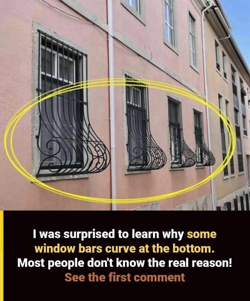 If you see window grills with a curve at the bottom here’s what it ...