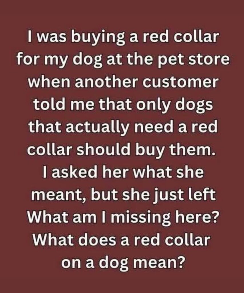 The Mystery Of The Red Collar And The Secret It Unveiled – My Blog