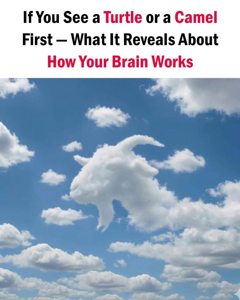🧠 If You See a Turtle or a Camel First — What It Reveals About How Your ...