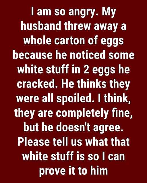 The Mystery Behind the White Stuff in Eggs – My Blog