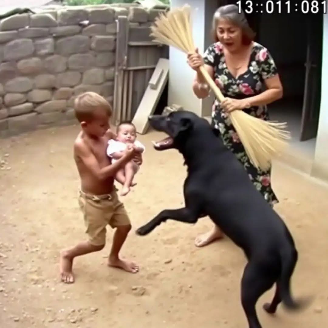 Mistreated by his stepmother, who starved him, the 7-year-old boy still ...